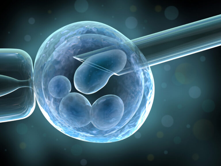 Stages of Embryo Development - Blastocyst - Tennessee Fertility Clinic